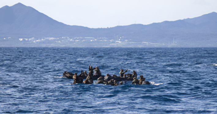 Ultra I&C advances military interoperability at Grey Flag maritime ...